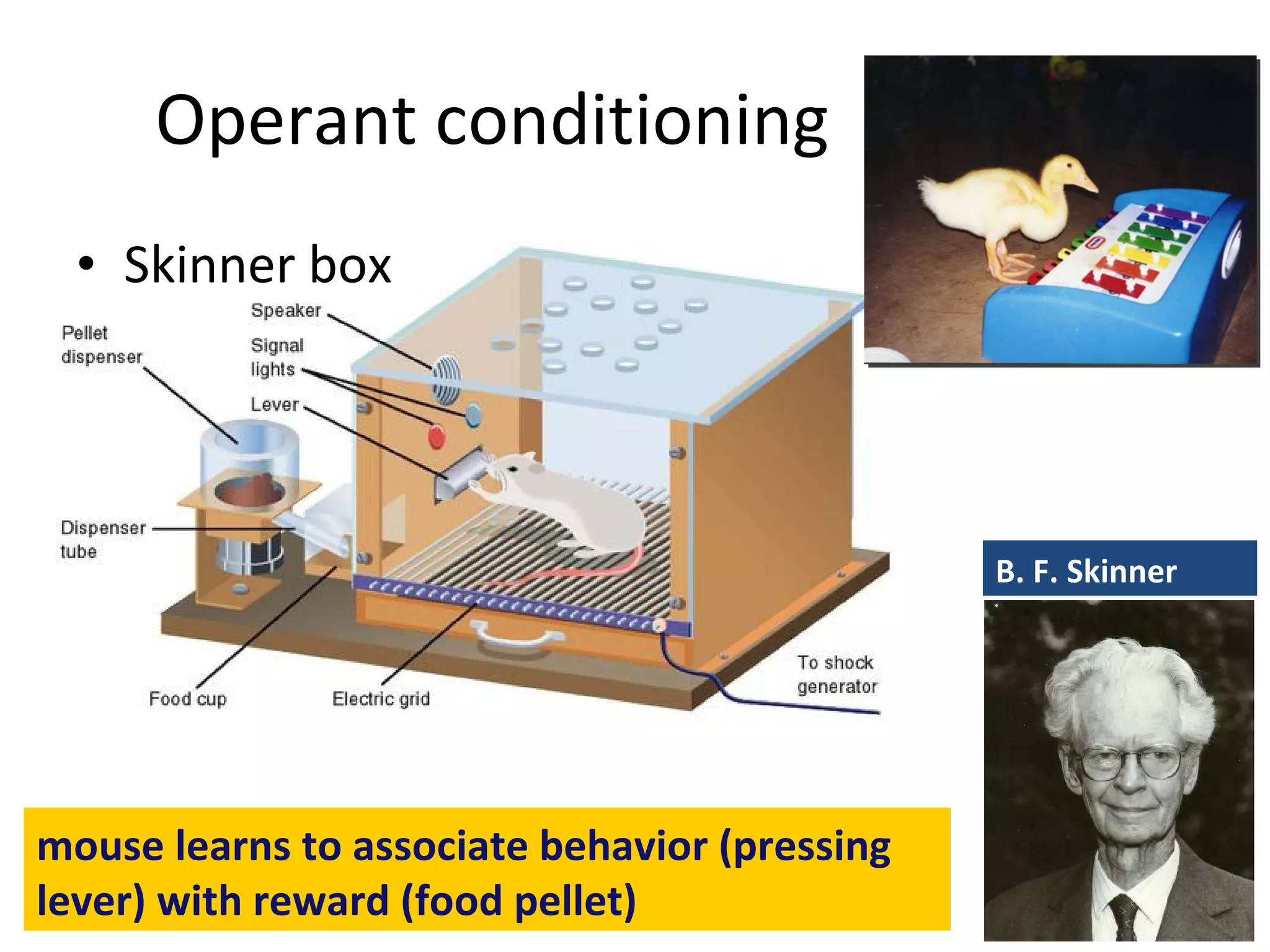 Animal Behavior | PPT