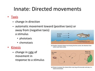Animal Behavior | PPT