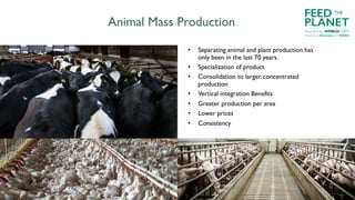 3 - Animal Husbandry.pdf