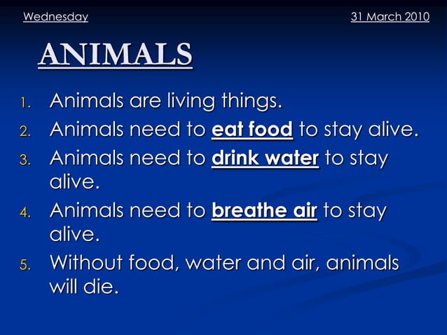 3.animals | PPSX