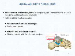 3- ANKLE JOINT.pptx