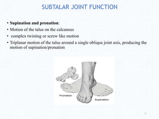 3- ANKLE JOINT.pptx