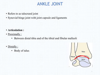 3- ANKLE JOINT.pptx