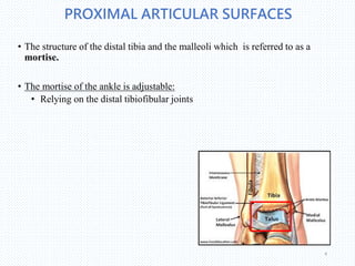 3- ANKLE JOINT.pptx