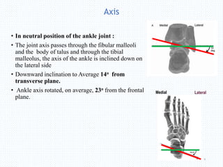 3- ANKLE JOINT.pptx