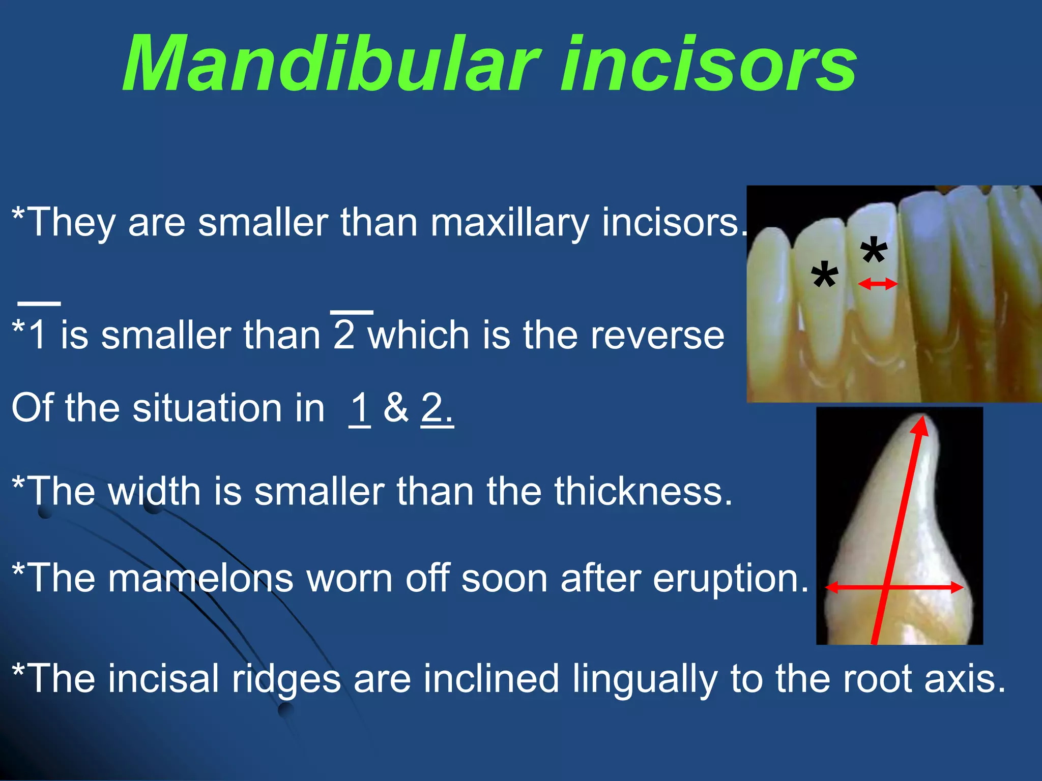 Anterior tooth | PPTX