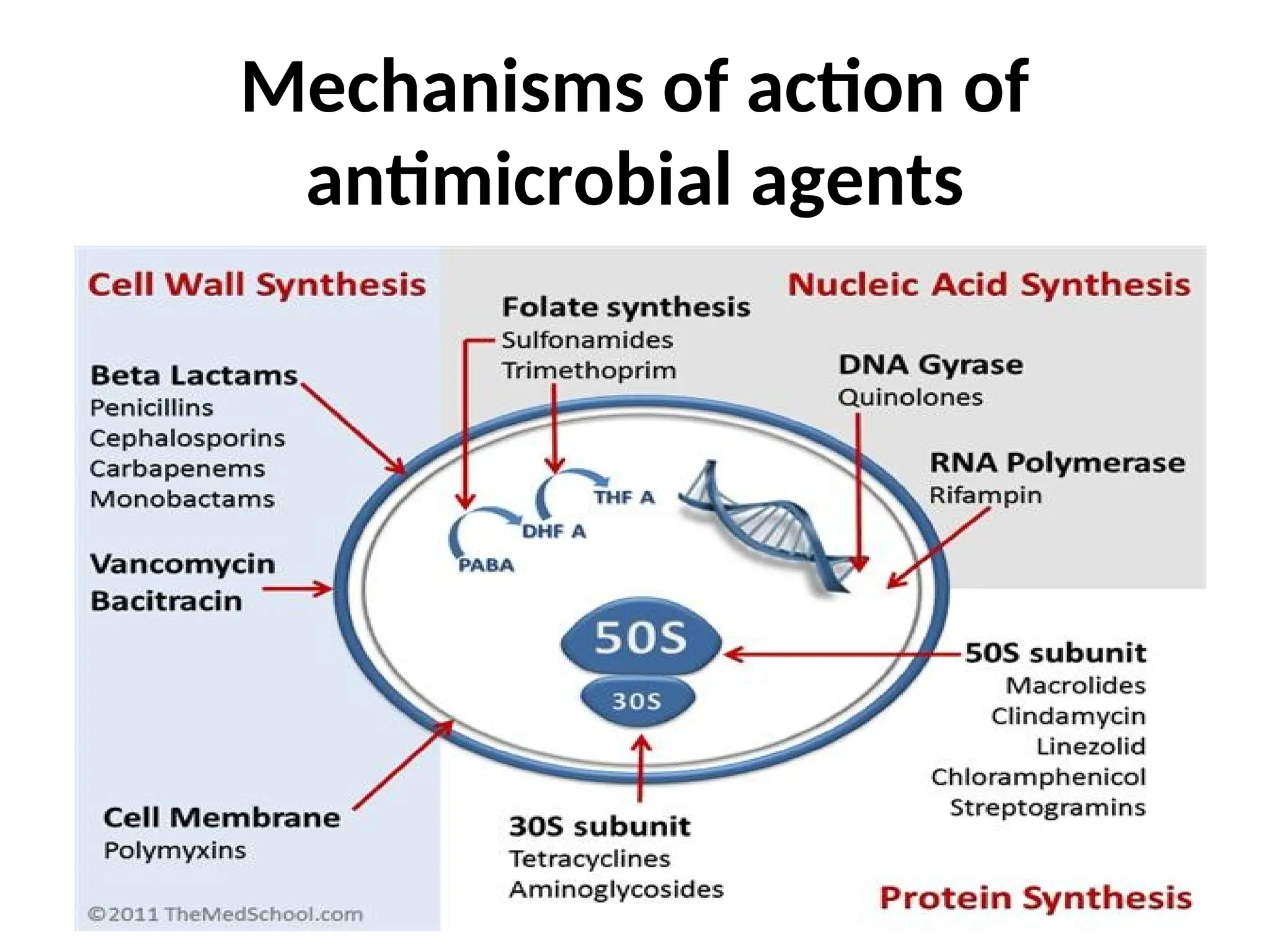 ANTIBIOTICS details of antimicrobials.ppt