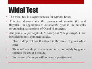 3 antigen antibodybreaction | PPT