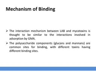 Antimycotoxin_Mycotoxin_Binders | PPTX