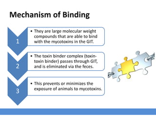 Antimycotoxin_Mycotoxin_Binders | PPTX