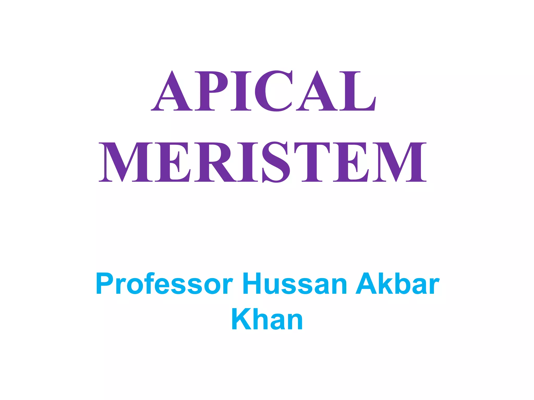 3-APICAL MERISTEM.pptx