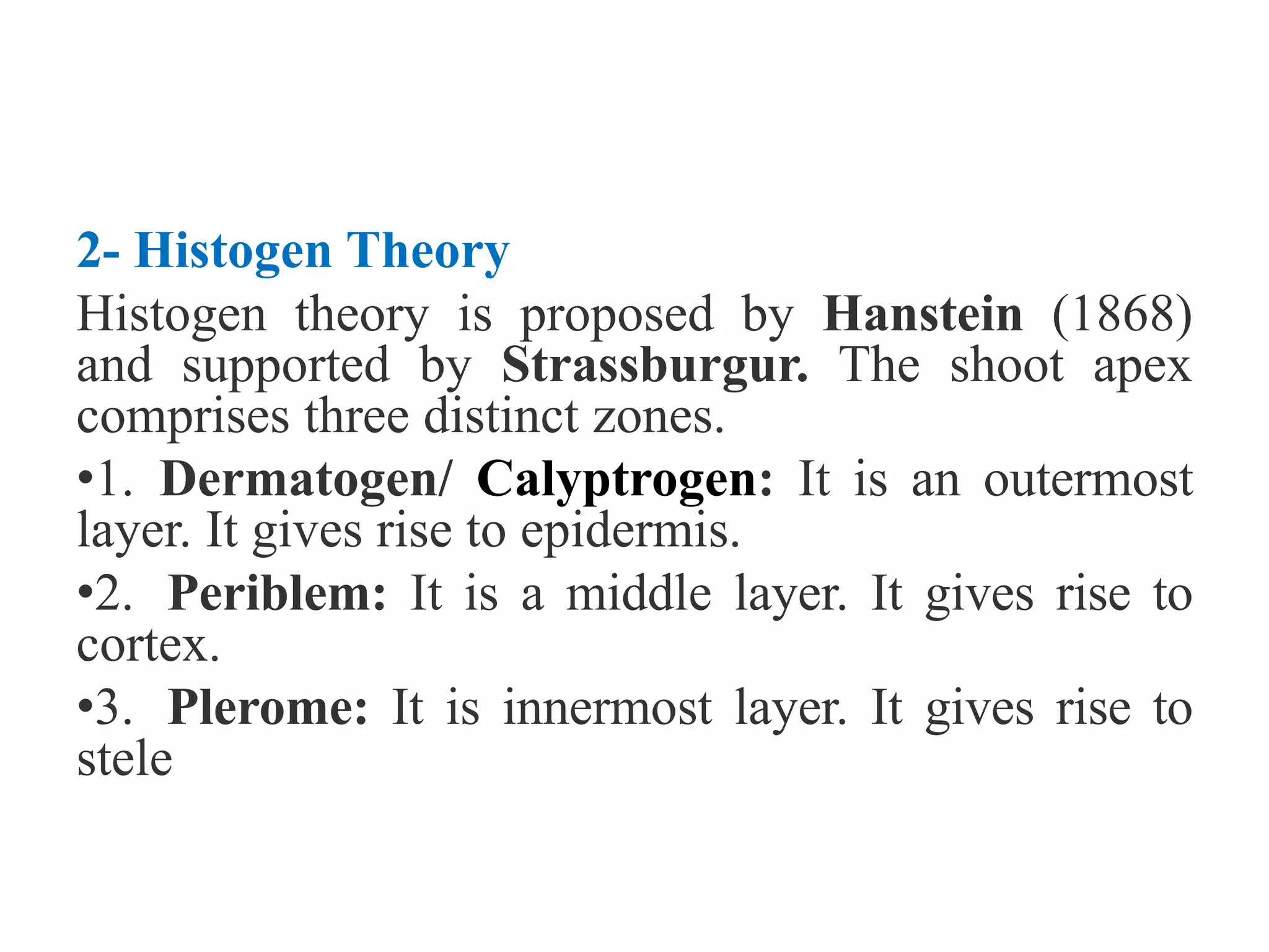 3-APICAL MERISTEM.pptx