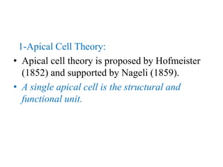 3-APICAL MERISTEM.pptx