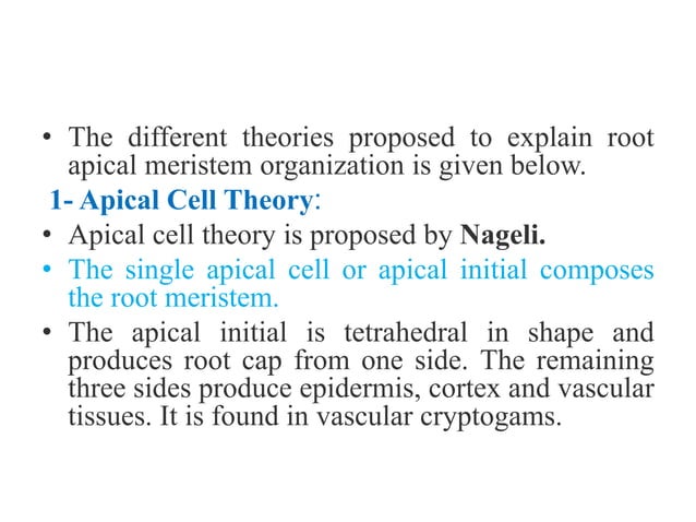 3-APICAL MERISTEM.pptx | Gardening | Home & Garden