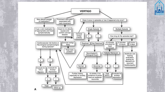 Approach to dizziness | PPTX | Brain and Nervous System Disorders ...