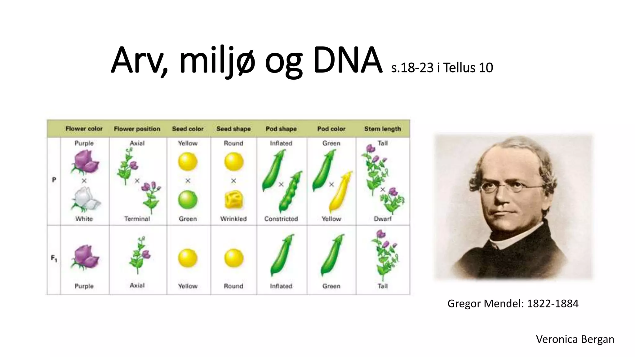 3 Arv, miljø og DNA, kap 1 i Tellus 10, Aschehoug | PPTX