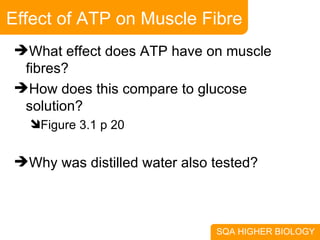 3. ATP | PPT