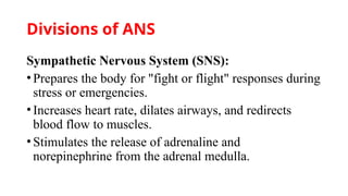 Autonomic Nervous System - Neuropsychology | PPT