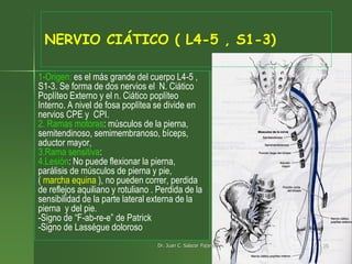 SINDROMES NEUROLOGICOS I - NEUROMA MOTORA INFERIOR | PDF
