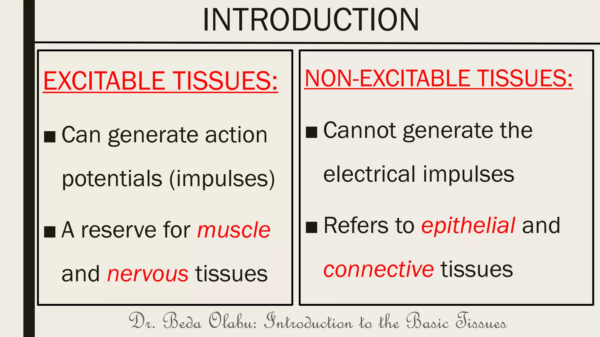 3 Basic Histology Lecture Series Pdf