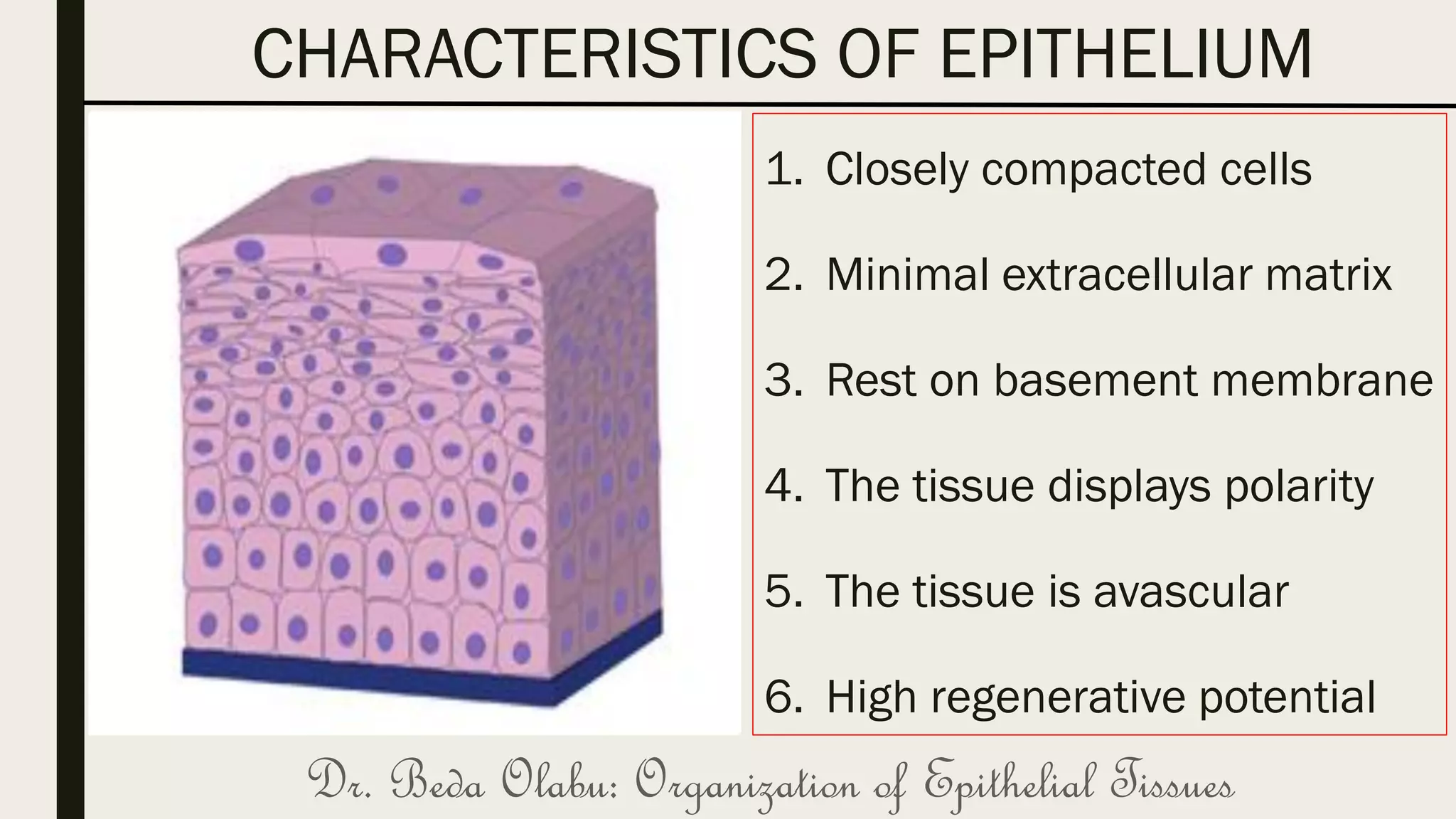 3- BASIC HISTOLOGY LECTURE SERIES.pdf