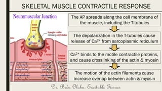 3- BASIC HISTOLOGY LECTURE SERIES.pdf
