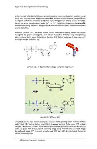 3 bioenergetika | DOC