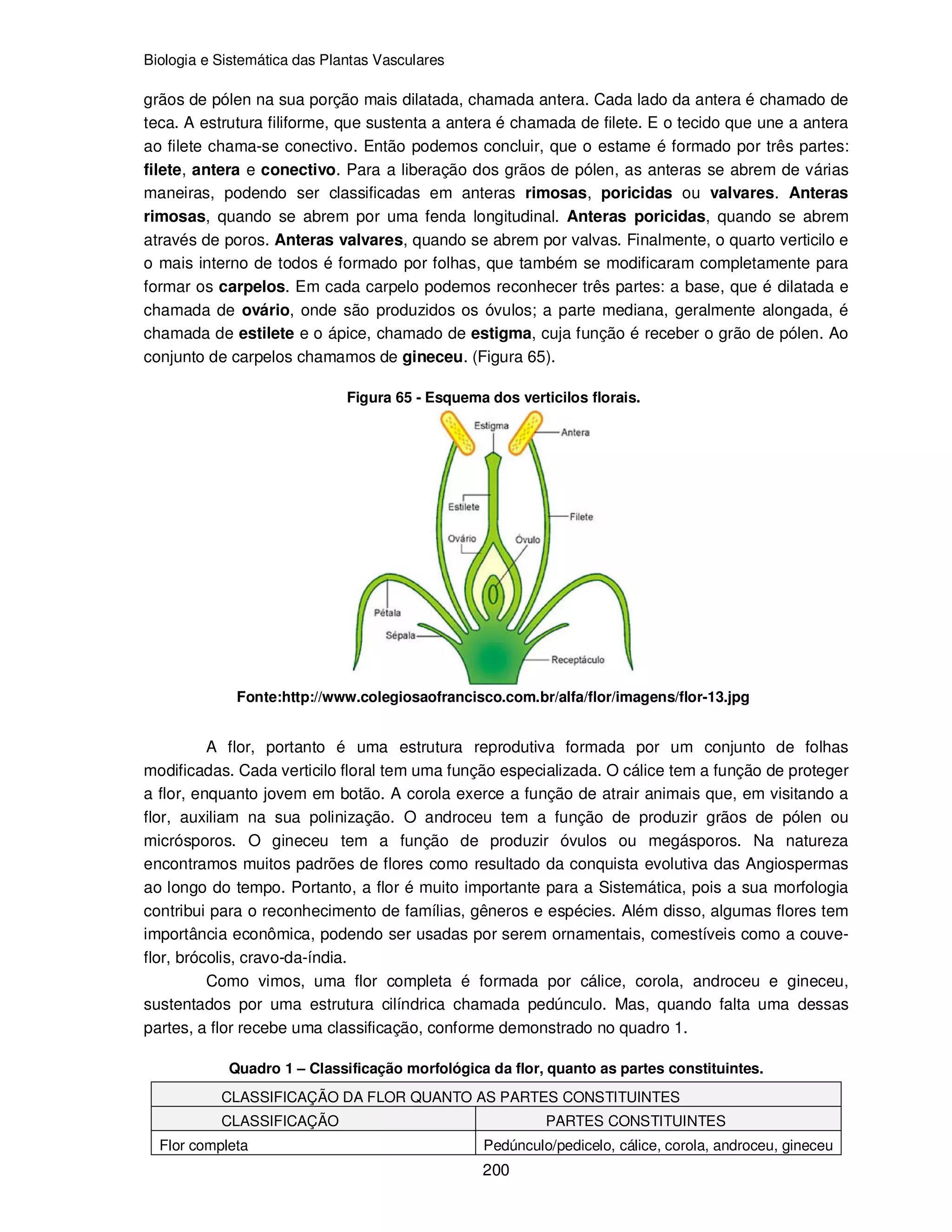 3-Biologia_e_sistematica_das_plantas_vasculares.pdf