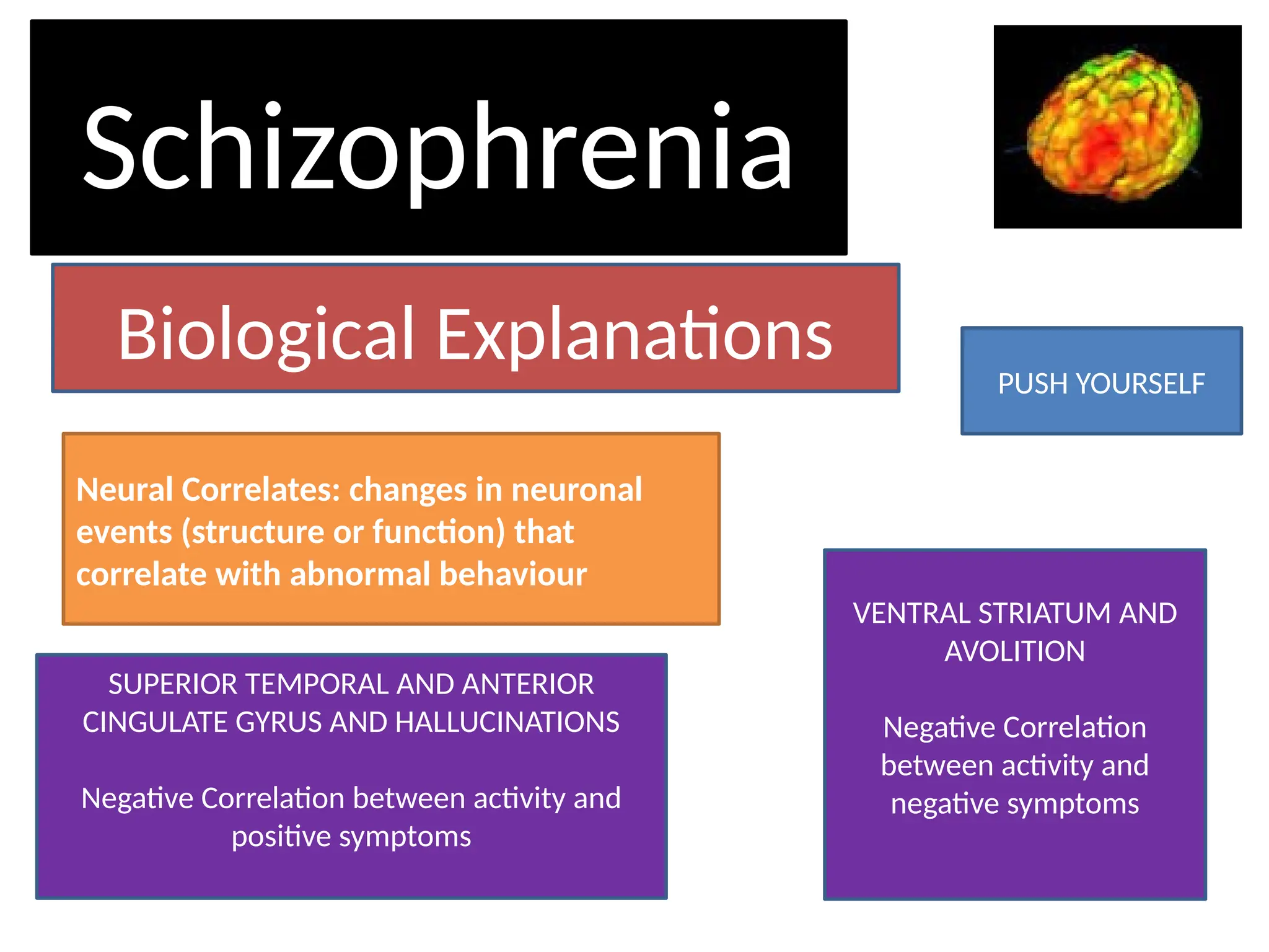 Biological Explanations of Schizophrenia | PPTX