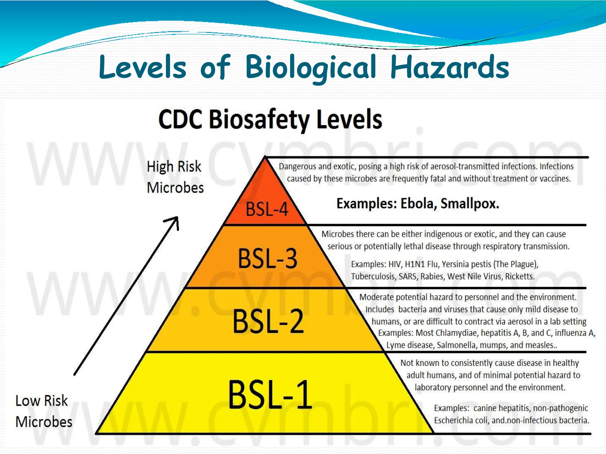 Biological hazards - in healthcare unit | PPTX