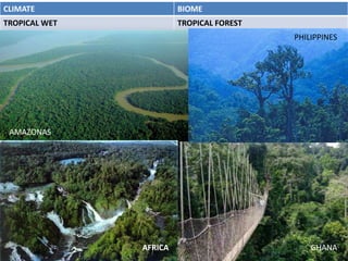 3. biomes | PPTX