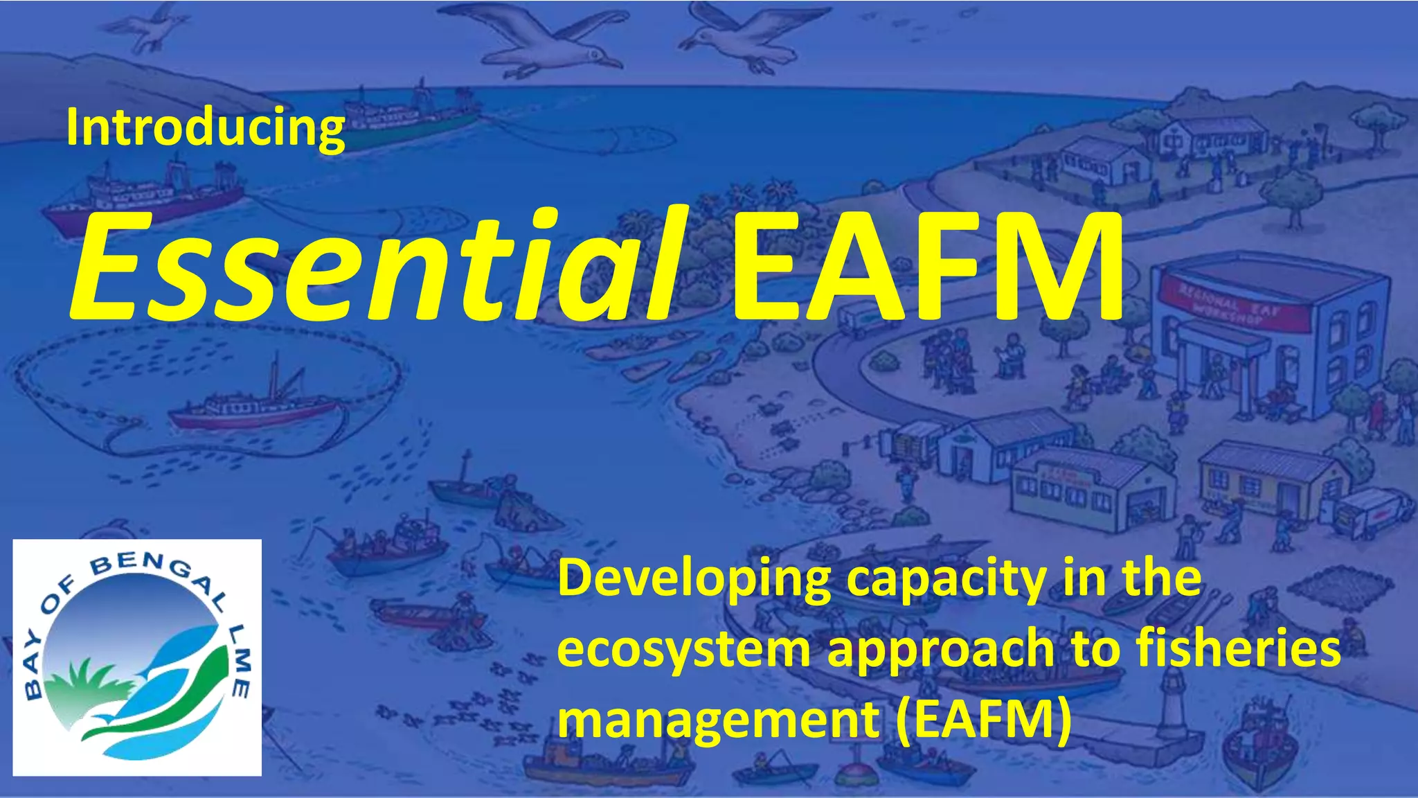 Introducing Essential EAFM: Developing capacity in the ecosystem approach to fisheries ...
