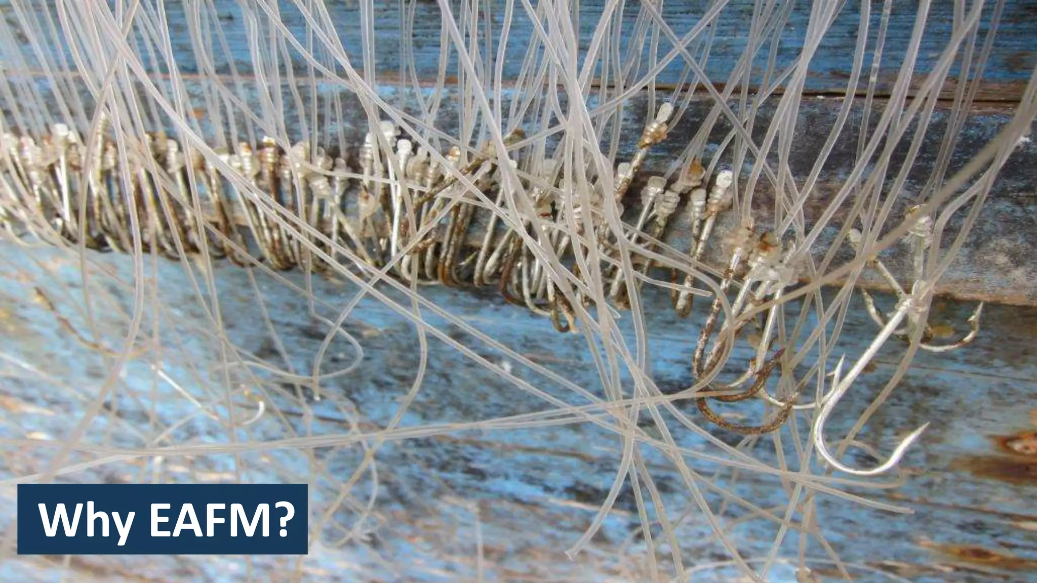 Introducing Essential EAFM: Developing capacity in the ecosystem ...