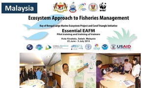 Introducing Essential EAFM: Developing capacity in the ecosystem ...