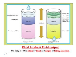 3- Body Fluids.pdf body fluid compartments | PDF | Chemistry | Science