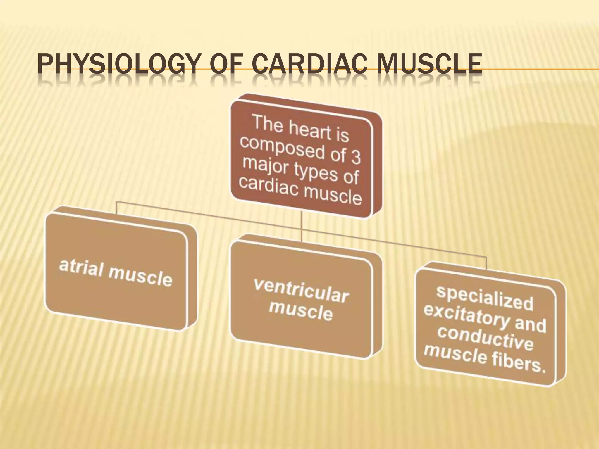 3 - CARDIAC AP.ppt