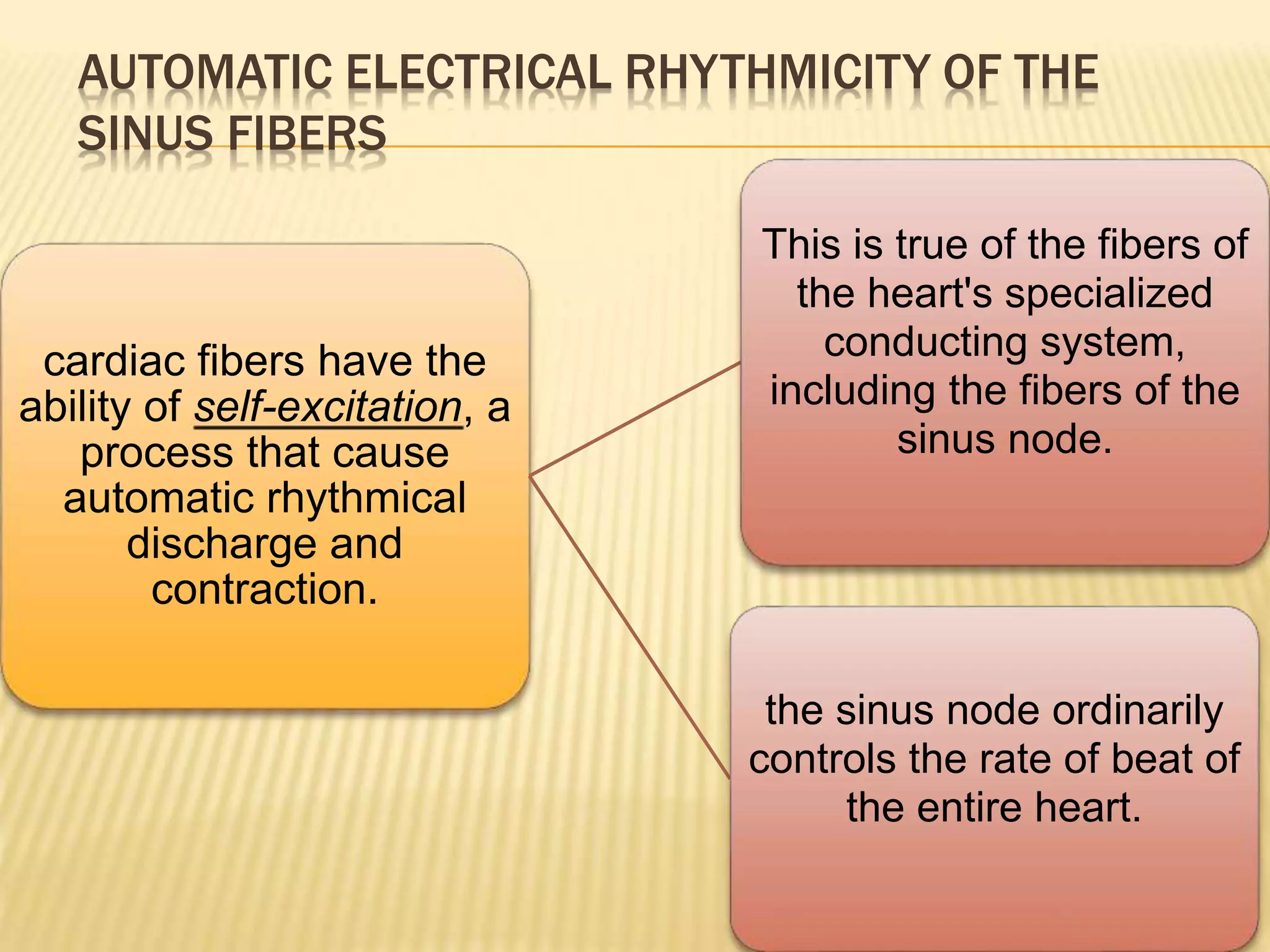 3 - CARDIAC AP.ppt