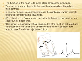 3 - CARDIAC AP.ppt