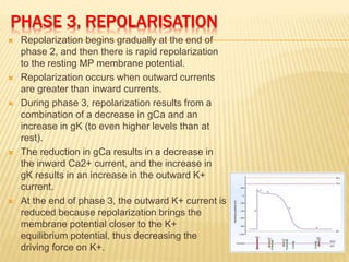 3 - CARDIAC AP.ppt