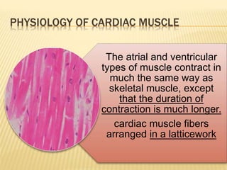 3 - CARDIAC AP.ppt