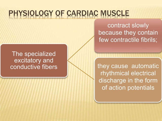3 - CARDIAC AP.ppt