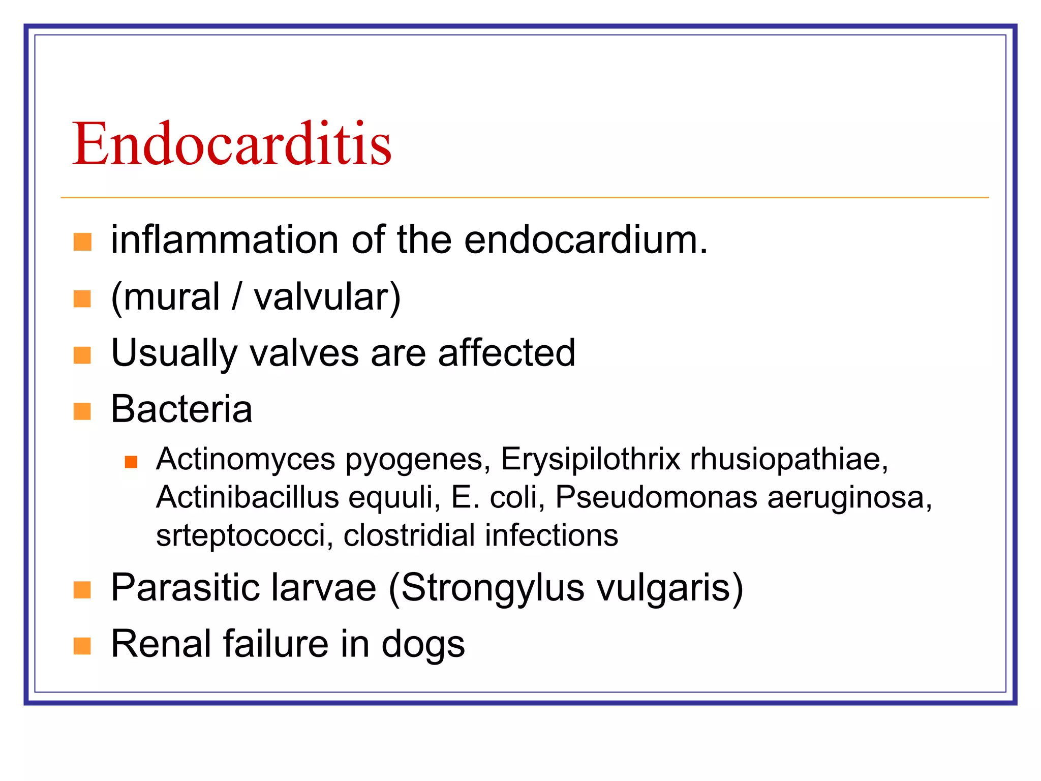 Veterinary Pathology of cardiovascular system | PPT
