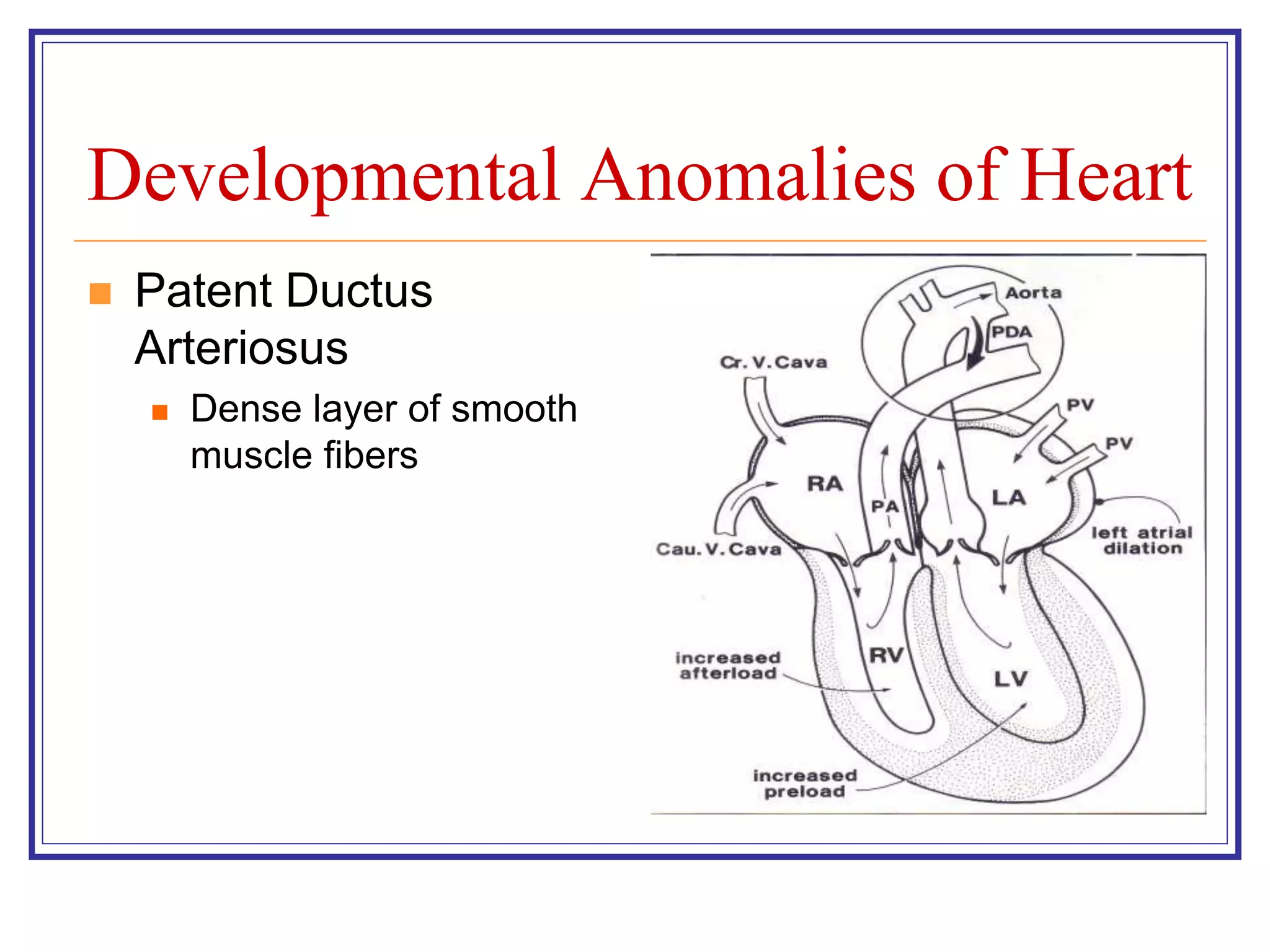 Veterinary Pathology of cardiovascular system | PPT
