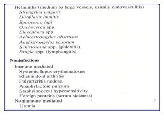 Veterinary Pathology of cardiovascular system | PPT