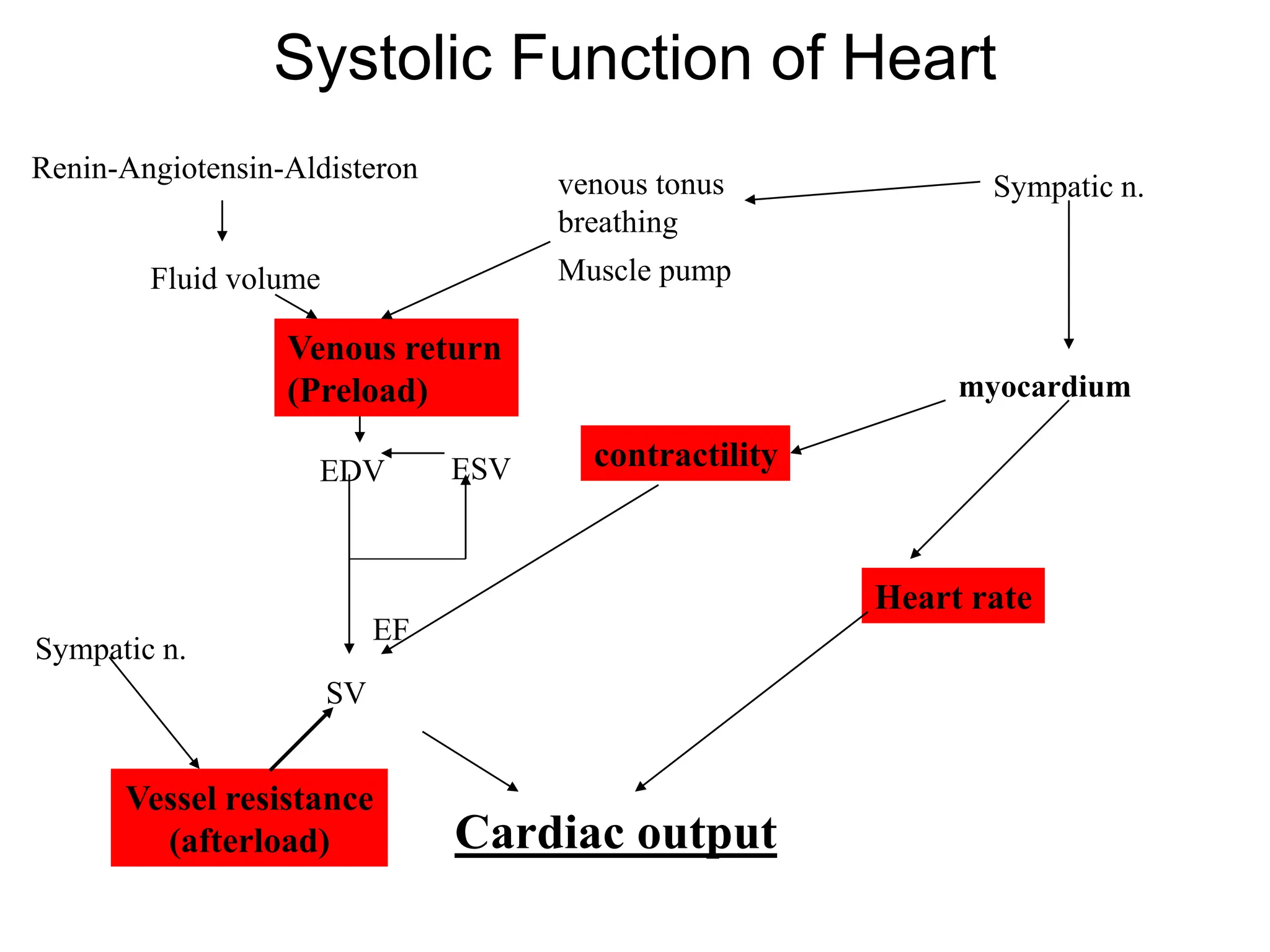 3-cardiology-hemodynamics.ppt