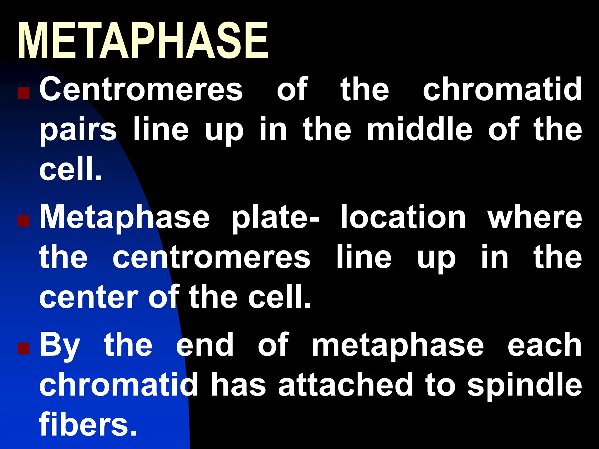3-Cell-Cycle-Mitosis-and-Meiosis.ppt