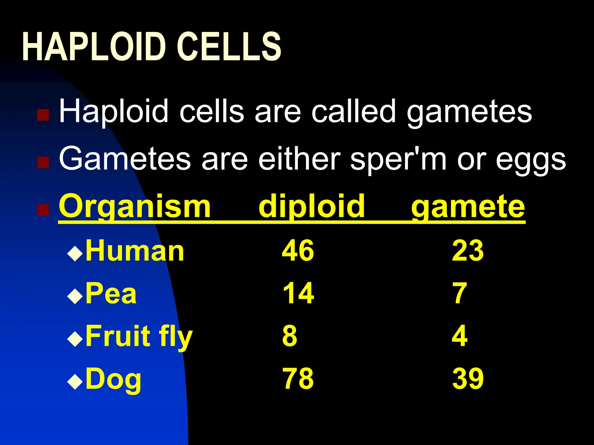 3-Cell-Cycle-Mitosis-and-Meiosis.ppt