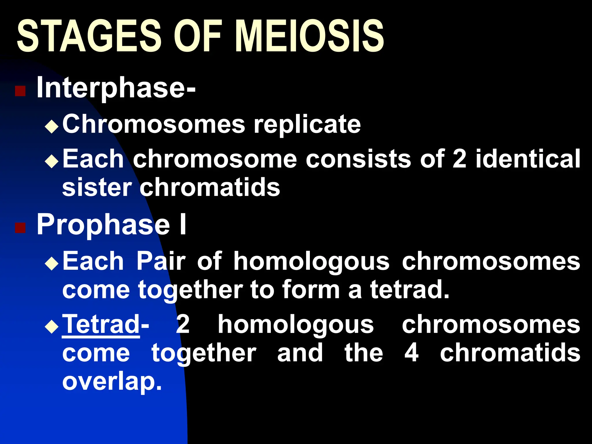 3-Cell-Cycle-Mitosis-and-Meiosis.ppt