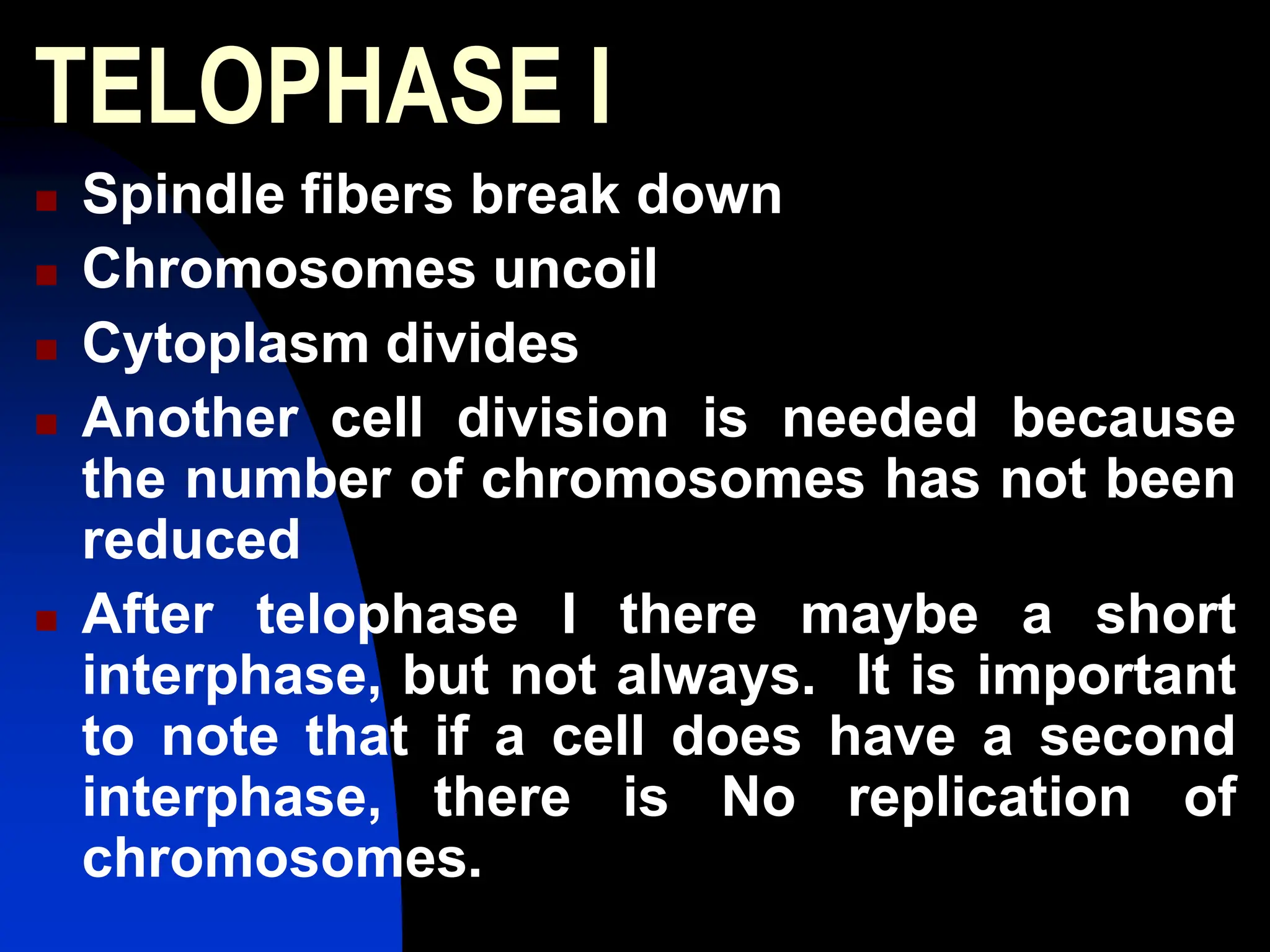 3-Cell-Cycle-Mitosis-and-Meiosis.ppt