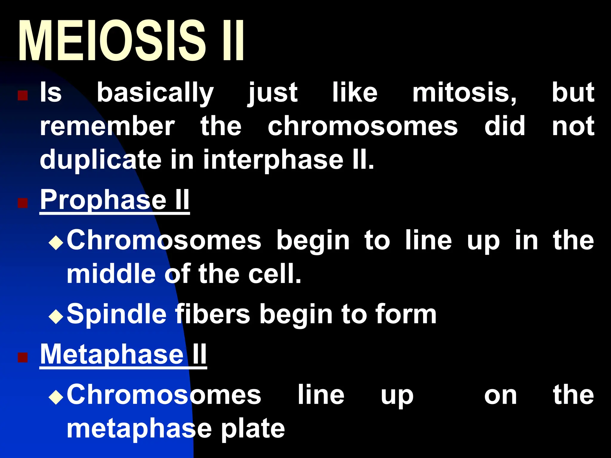 3-Cell-Cycle-Mitosis-and-Meiosis.ppt